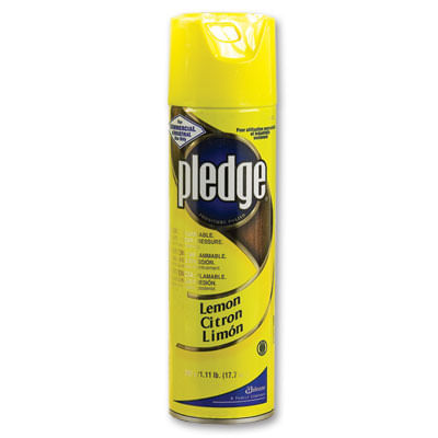 Furniture Polish Pledge 391g Can - Whitebird