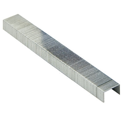 Staples For Hammer Tacker 1/4" 20x5,000/cs - Whitebird